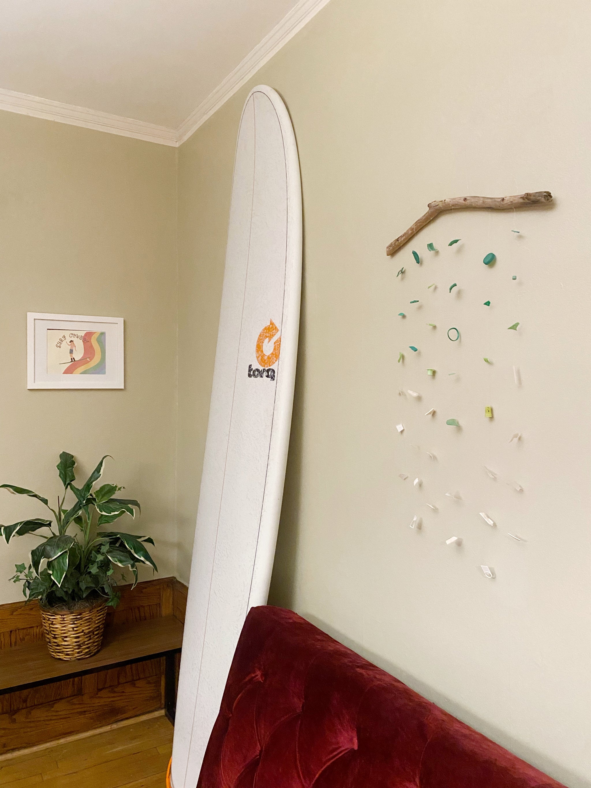 Plastic Beach Collections